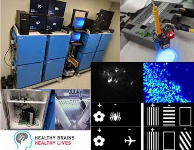 Miniscope V4 系统 – NeuroScys